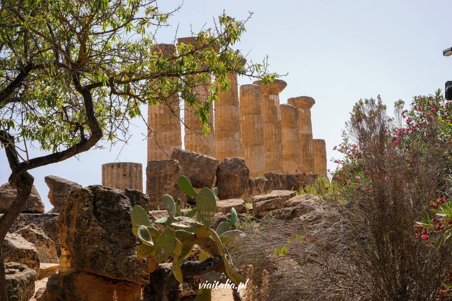 Dolina Świątyń w Agrigento na Sycylii: zwiedzanie